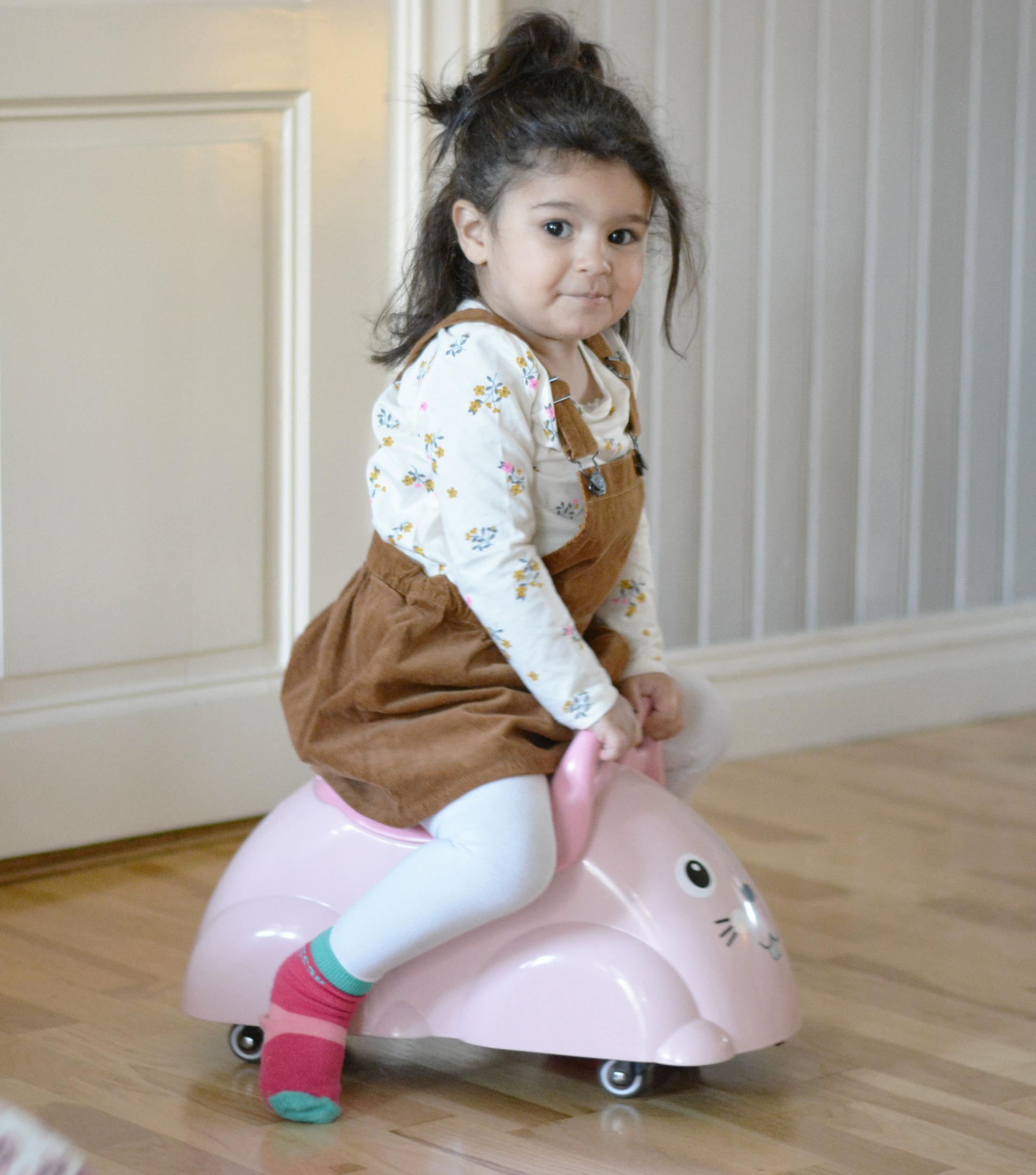 VIKING TOYS Stumtukas „Triušiukas“, modelis - 81975, žema kaina | Varle.lt