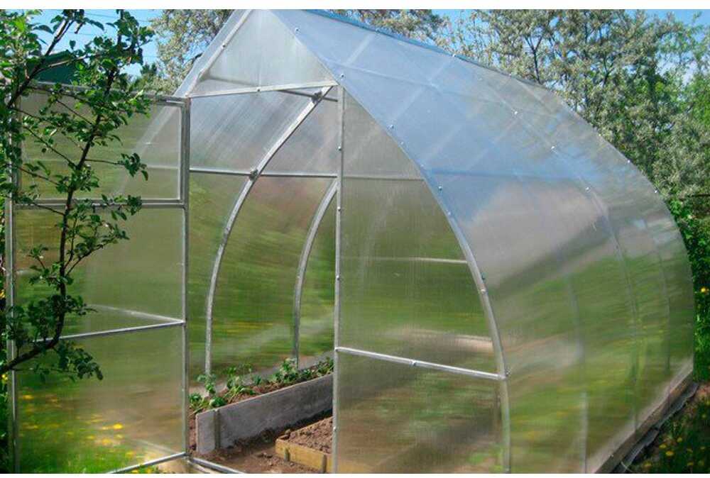 Šiltnamis LAŠAS (plotis 3m) danga 6mm, Šiltnamio ilgis: Šiltnamio ilgis ...