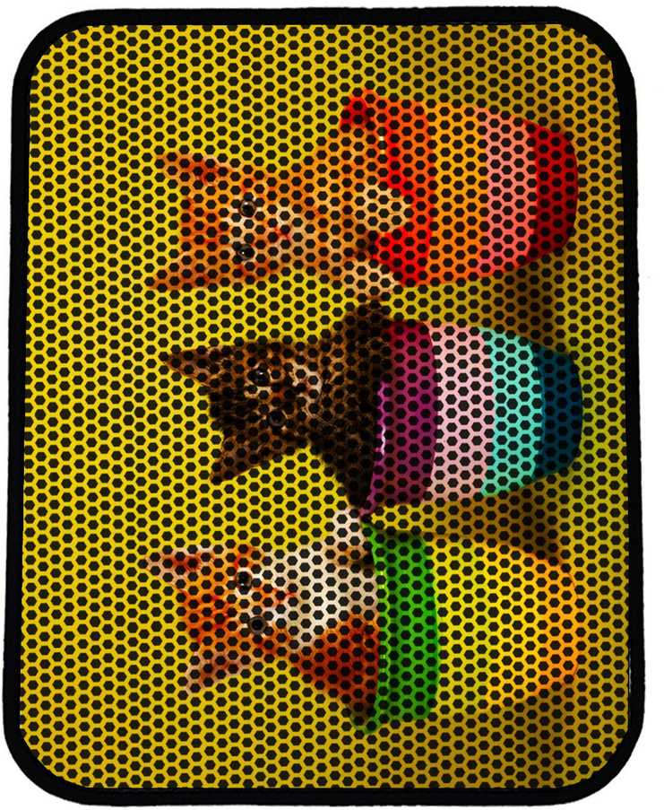 Mioli Decor Cat Litter Mat Nrszn0137, modelis - 686GRV1495, žema kaina ...