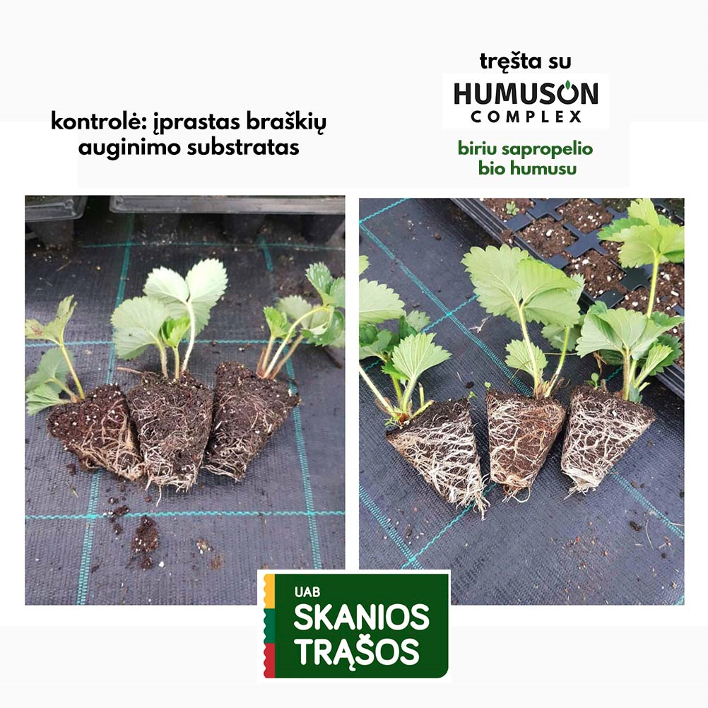 2500l HUMUSON COMPLEX SI birus sapropelio bio humusas | ekologiškos ...